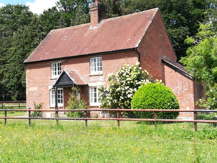 Tranquilty In Cranborne Chase - Shaftesbury