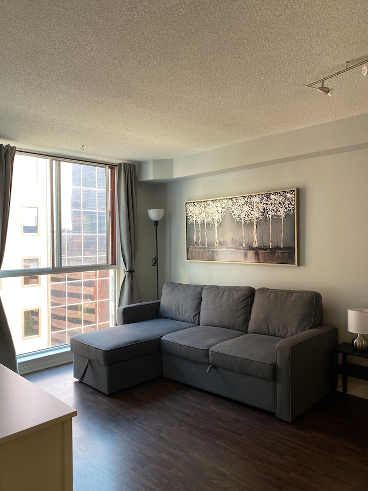 Private Cozy Downtown Condo - Toronto