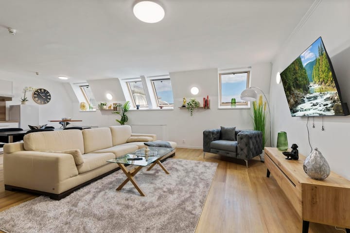 Family Hub In Centre - Bratislava