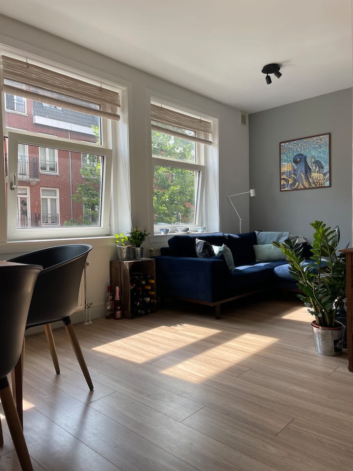 Charming Central Appartement In Oud-west - Amsterdam