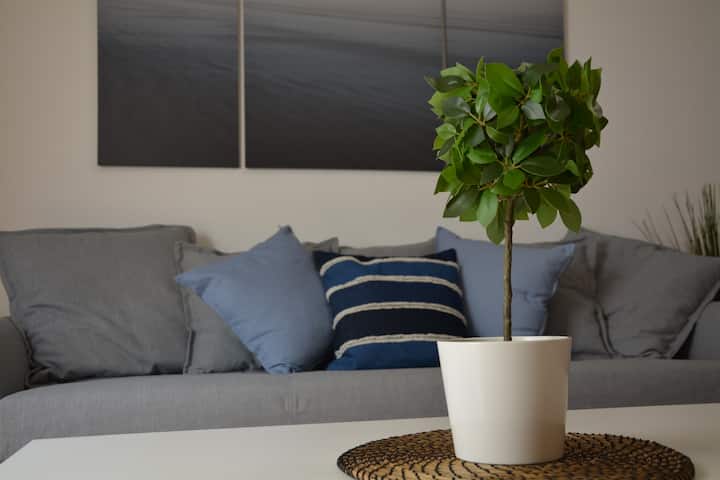 Apartamento Salitre Con Aire Acondicionado - Güímar