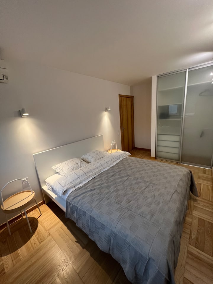 Flat On Brivibas Street - Riga