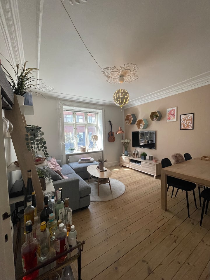 Hyggelig Lejlighed På Nørrebro - Copenhagen