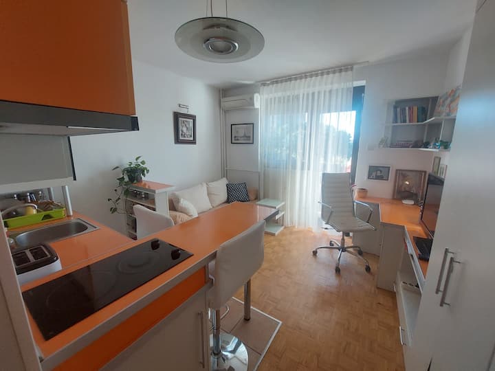 Cozy Flat With Urban Garden - Novi Sad