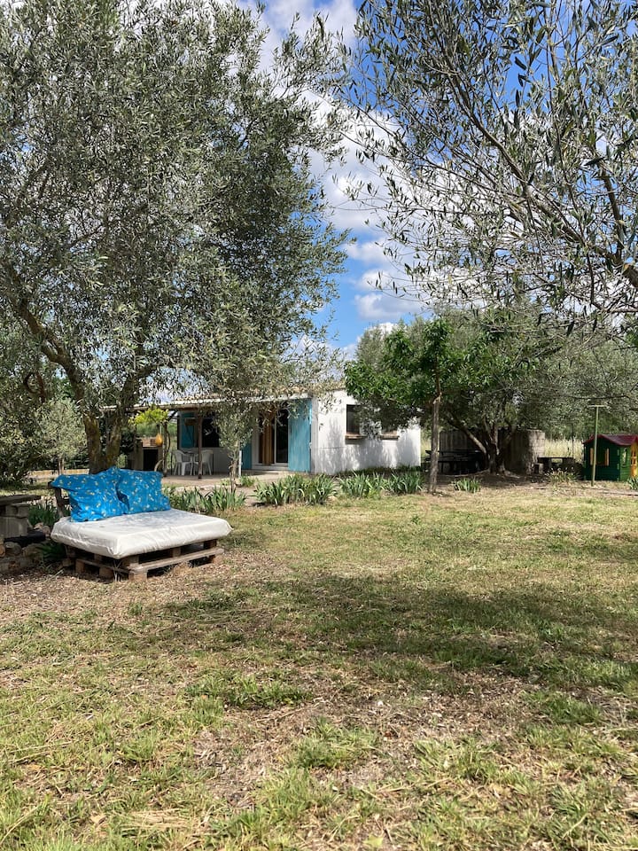 Cabanon - Frontignan