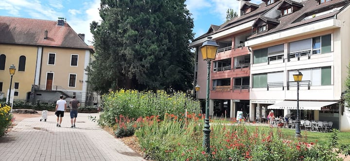 Chambre 2 Pers Au Coeur D'annecy - Cran-Gevrier