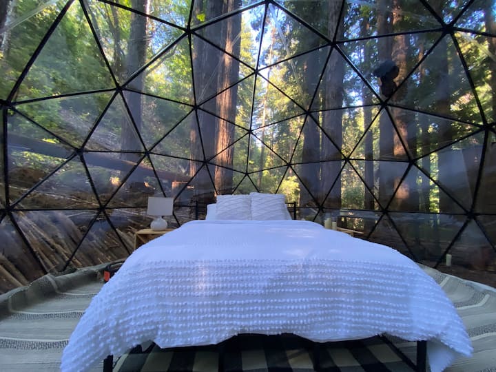 Creek Side Redwood Dome No.102 - Castle Rock State Park, Los Gatos