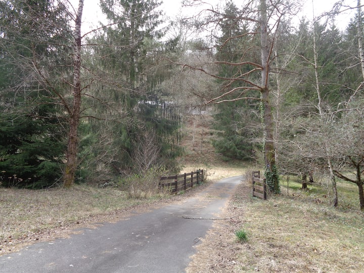 Gîte Au Coeur De La Forêt - Cantal
