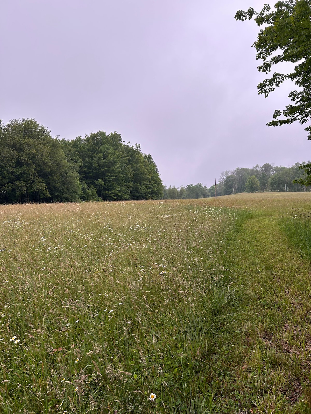 Private cabin on 40 acres. - Cabins for Rent in Silver Lake Township ...