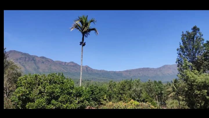 Nature Inn Stay Chikmagalur - Chikmagalur