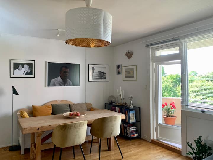 Fin Leilighet I Fredelig Strøk - Oslo