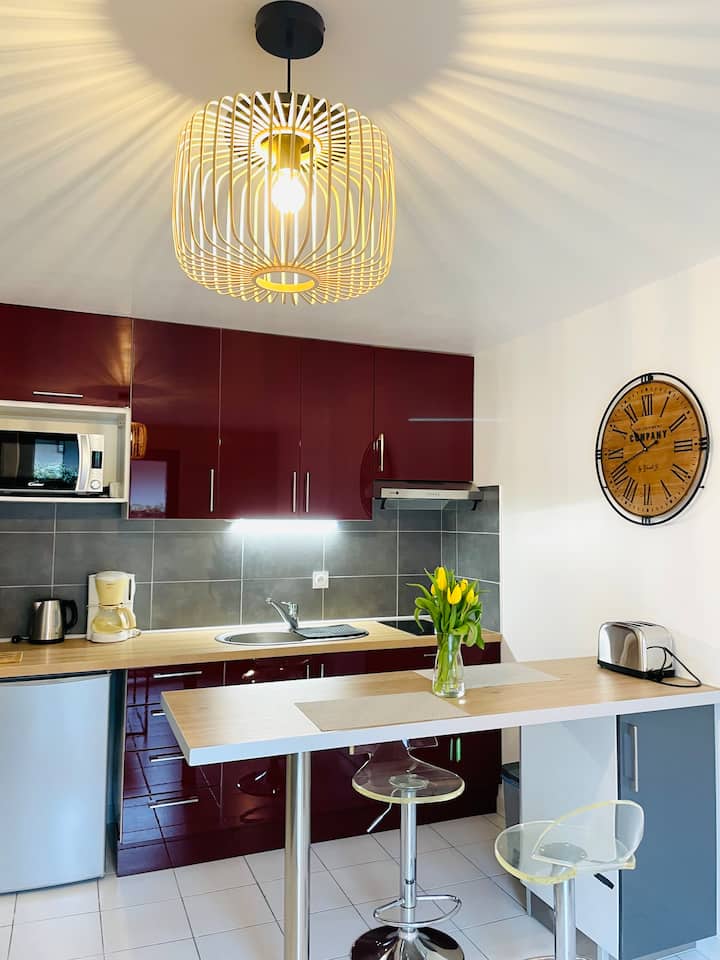 Studio 2 Personnes Avec Jardin - Saint-Jorioz