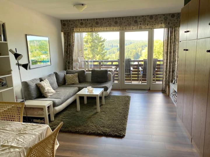 Ferienwohnung Im Schwarzwald - Elzach