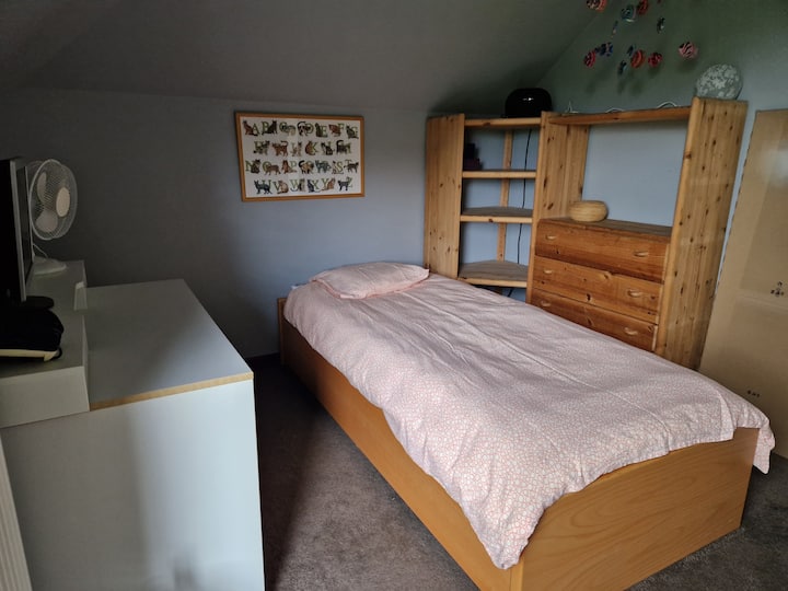 Huis Net Buiten Gent - Gand