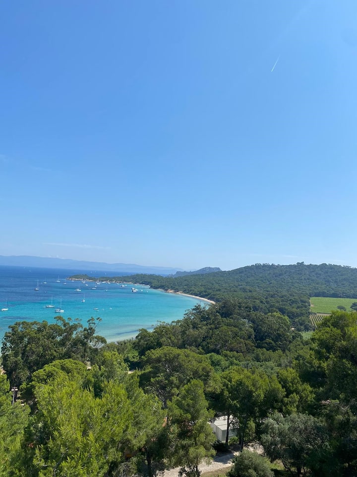 Appartement Porquerolles T2 - Île de Porquerolles