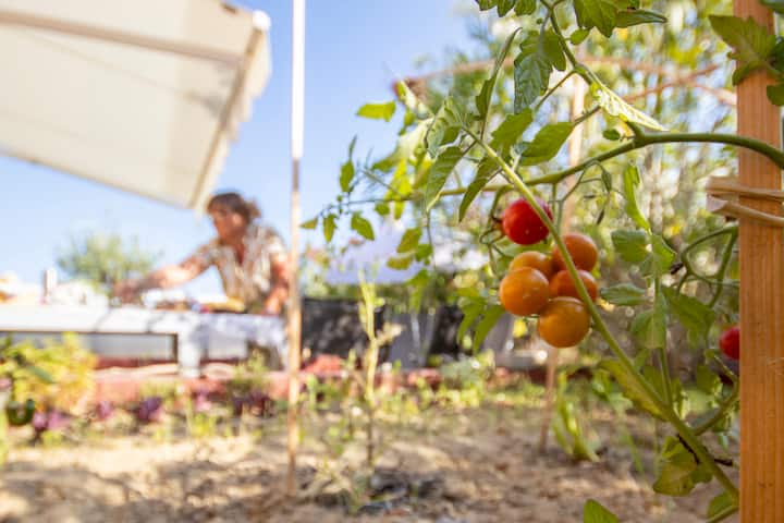 Le Nid… éCrin Entre Mer Et Forêt - Monaco