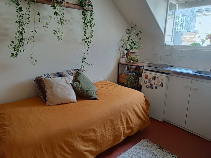 Mini Estudio En Paris - Paris