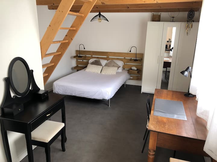 Chambre Indépendante De 23 M² - Bayonne