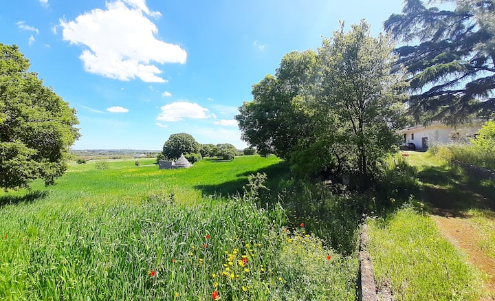 Villetta In Campagna Alberobello - Castellana Grotte