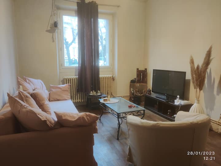 〽️Spacieux T2 Bis Rénové, Central - Grenoble