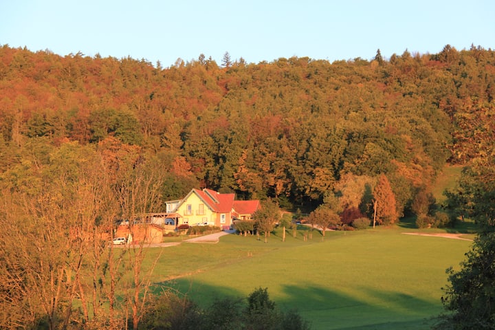 Apartment, Natur Nähe Graz Nord, E-biker, Wanderer - Steiermark