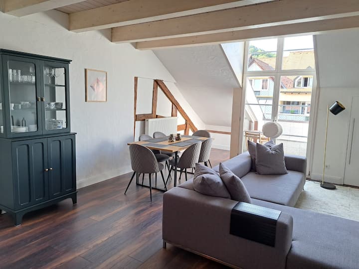 Cozy Duplex Near Black Florest - Albbruck