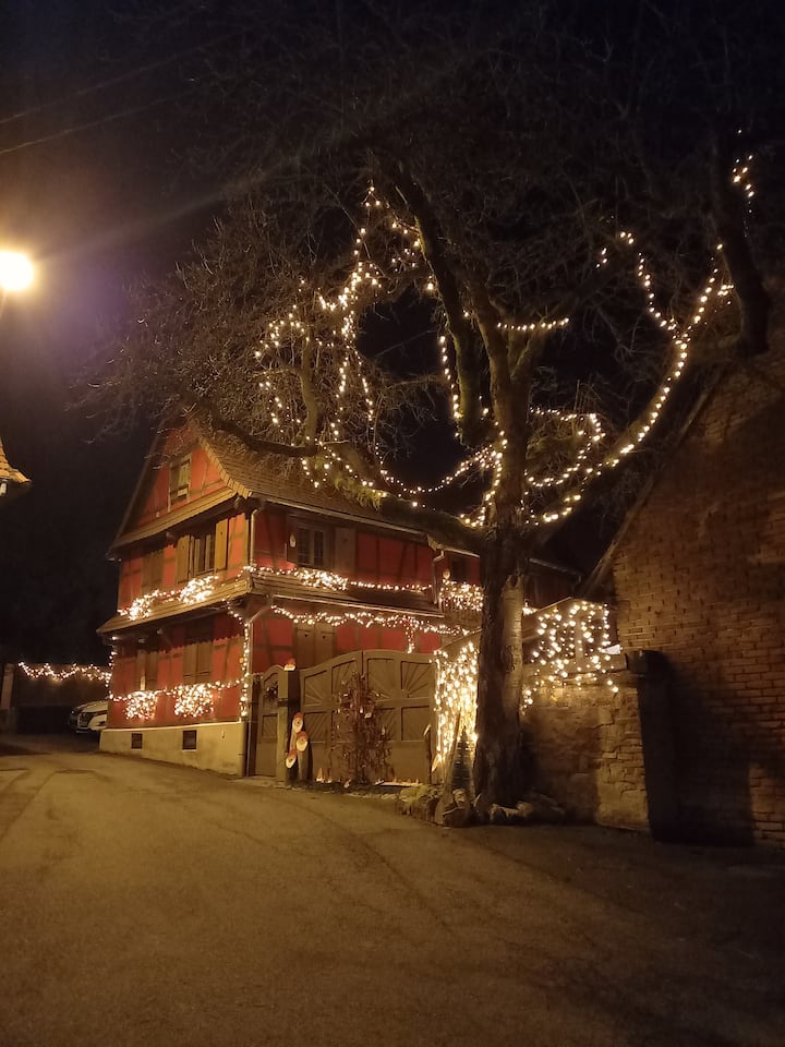 Gite De La Cour Pavée, Piscine Privée, Strasbourg. - Brumath