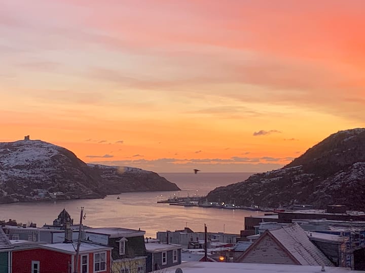 Eco-chic Three Bedroom Downtown With Amazing View. - Newfoundland and Labrador