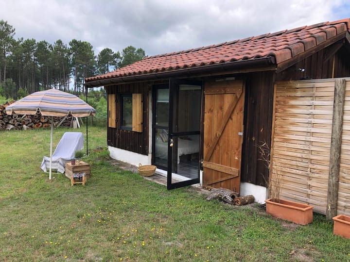 La Chambre Ilona - Castets