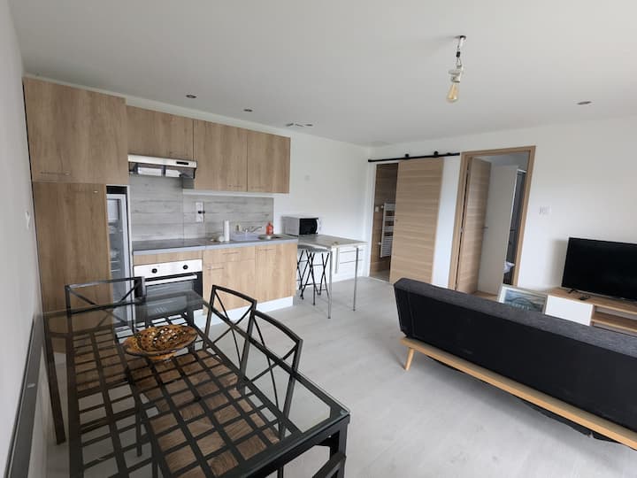 Maison De 50m² Avec 2 Chambres - Parentis-en-Born