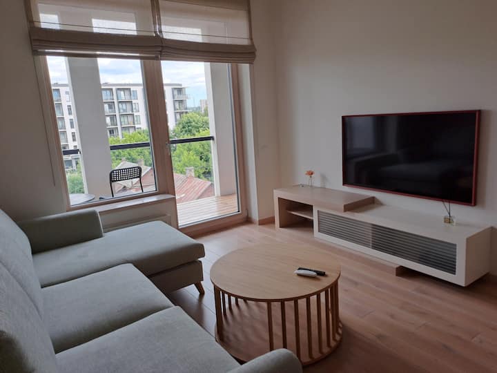 City Centre Apartment Vilnius - Vilnius