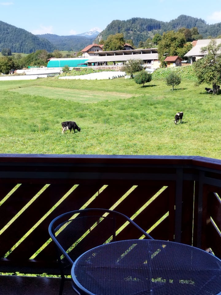 Apartma Naomi - Bled