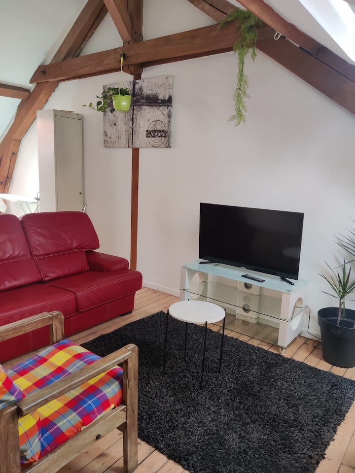 Gite L'olivier - Romilly-sur-Seine
