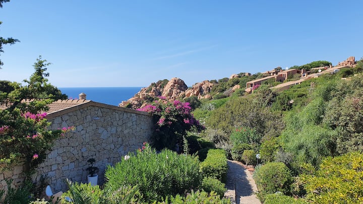 Bougainvilla : Seaview Palazetti Outdoorshower Air - Costa Paradiso