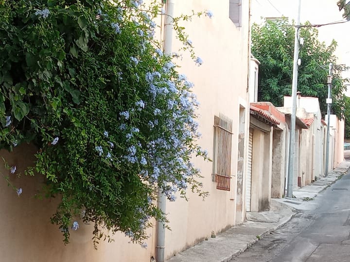 La Petite Maison De La Plage Et Son Jardin. - Marseille