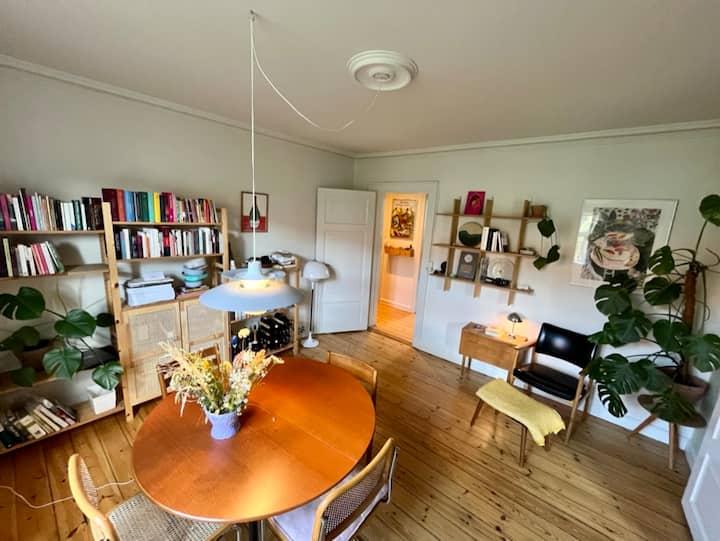 Hyggelig Lejlighed, 68 Kvm2 - Copenaghen