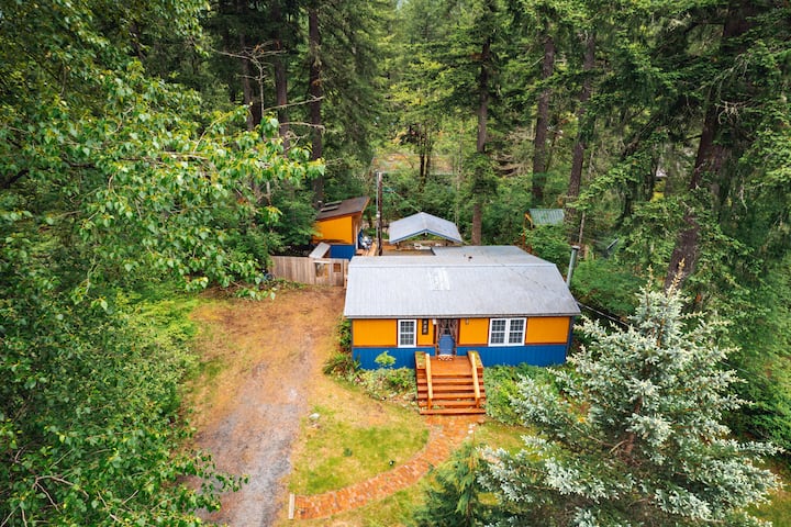Mount Rainer Creekside Cabin Dog Friendly - Ashford, WA