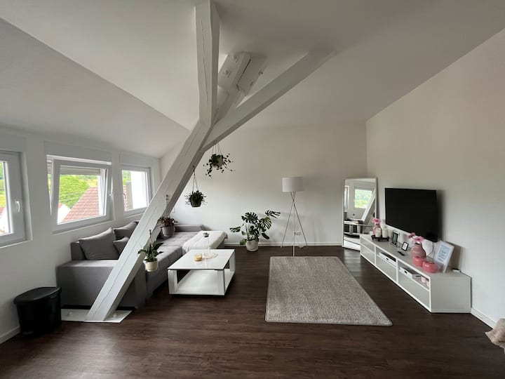 Stauffenberg Apartments - Albstadt