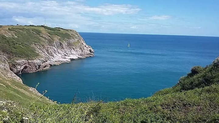 Seascape Cottage Brixham - Brixham