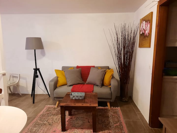 Magnifique 35m2 Rare Privatif - Sion