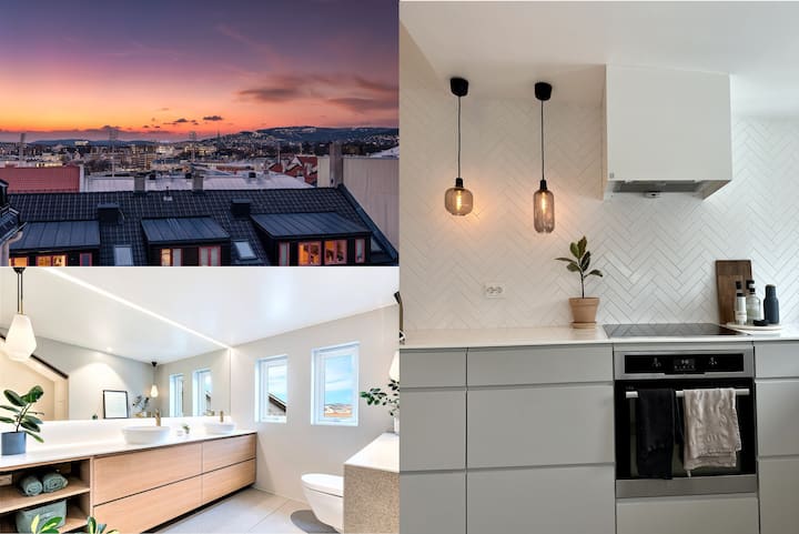 Penthouse Apartment With Panorama View - Oslo