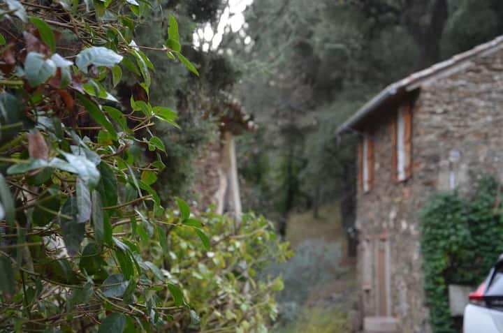 Mas Lou Castanea - Gîte Almanda - Calme & Nature - Bormes-les-Mimosas