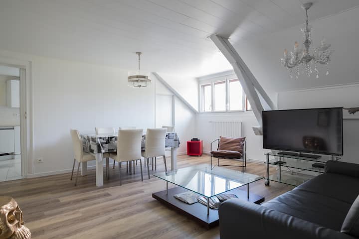 New Big Lovely Flat 3 Bedrooms - Geneva