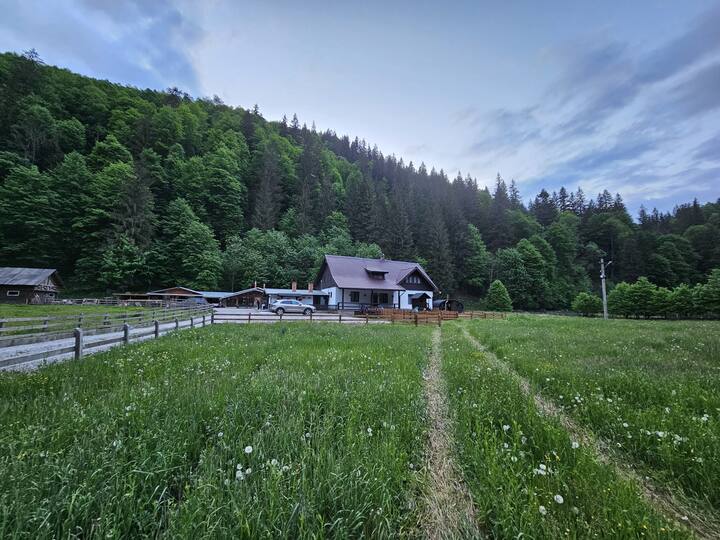 Casa Andreea - Borca