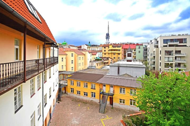1br Flat In Residential ŽIžkov. - Prague