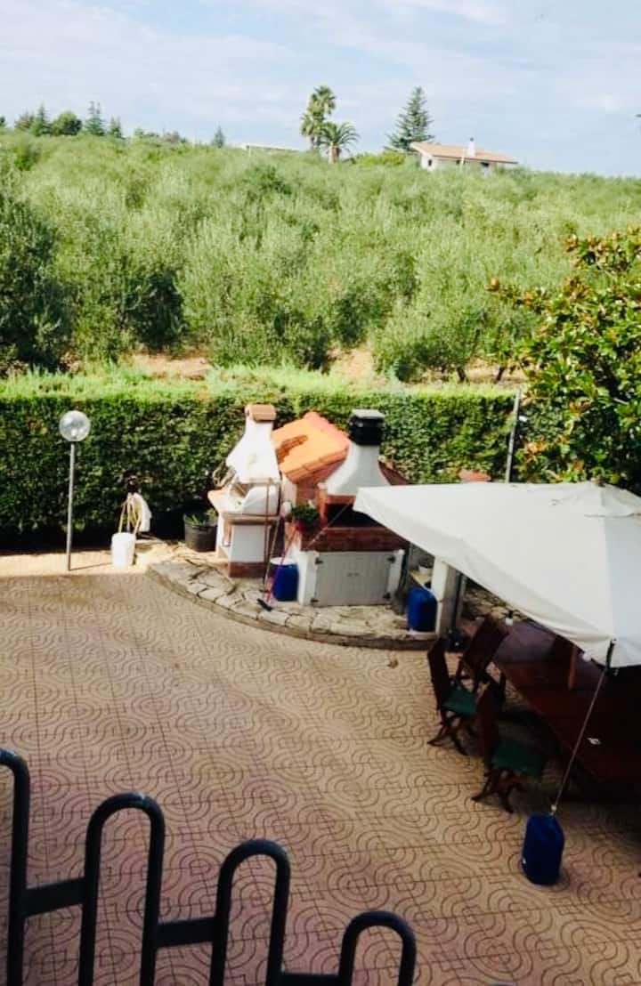 Olive Trees' Park - Corato