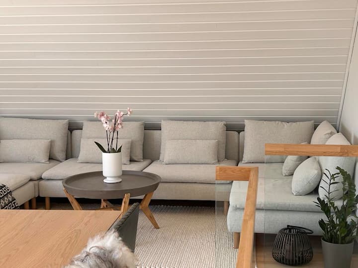 Super Central - And Homely At The Same Time! - Bergen