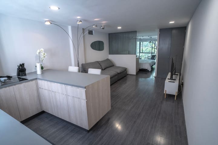 Loft In Condesa Cdmx - Mexico City