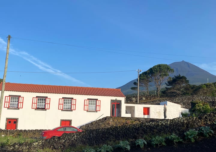 Picocomigo - Pico