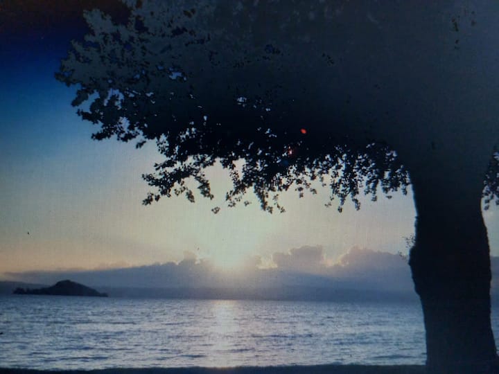 Sweet Little Lake Paradise - Montefiascone